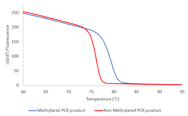 DNA methylation assays | labclinics.com