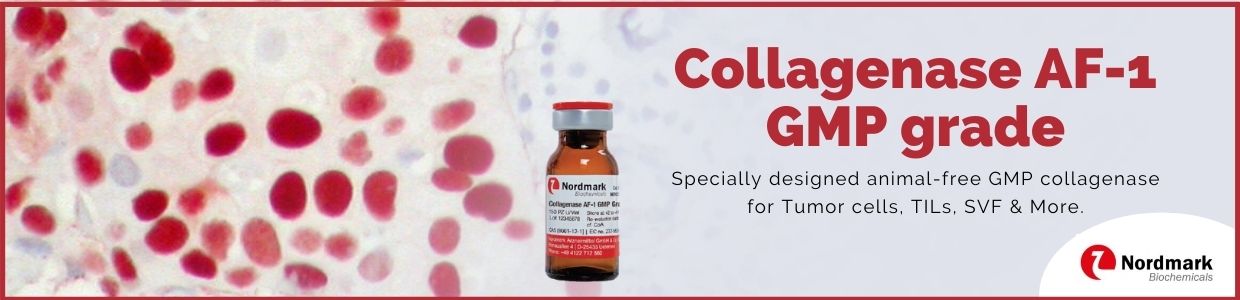 Collagenase AF-1 GMP Grade