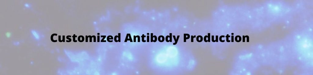 Antibody production | labclinics.com