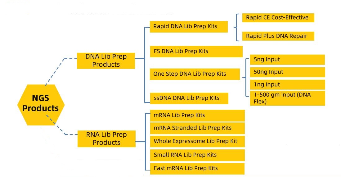 Abclonal – Anticuerpos y biología molecular | Labclinics.com
