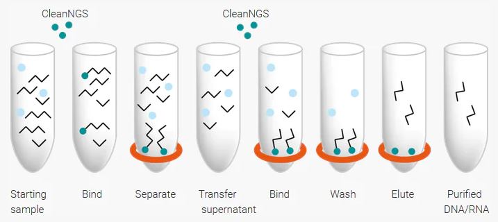 Promo_cleanNA | labclinics.com