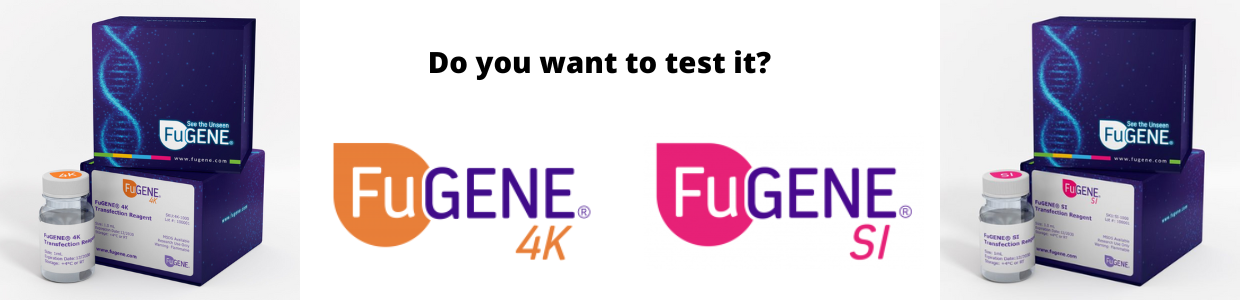 Ofertas y Promociones