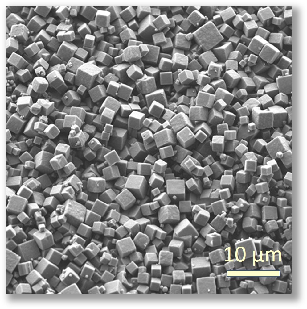 PODS | labclinics.com