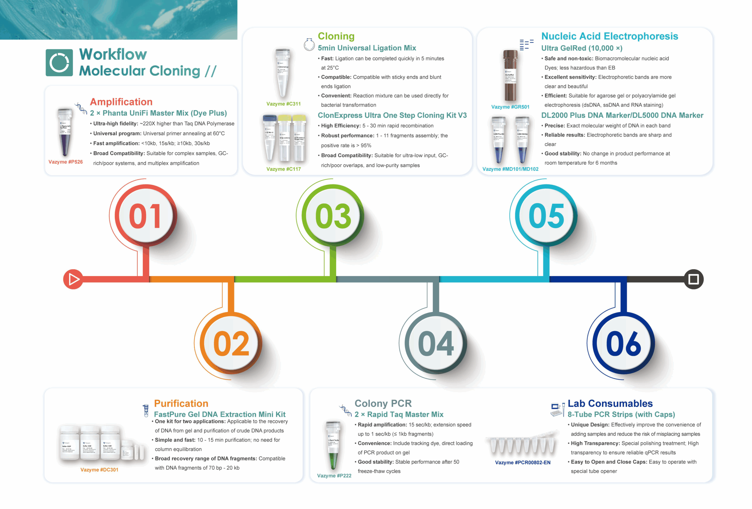 Vazyme – gene expression promotion | labclinics.com